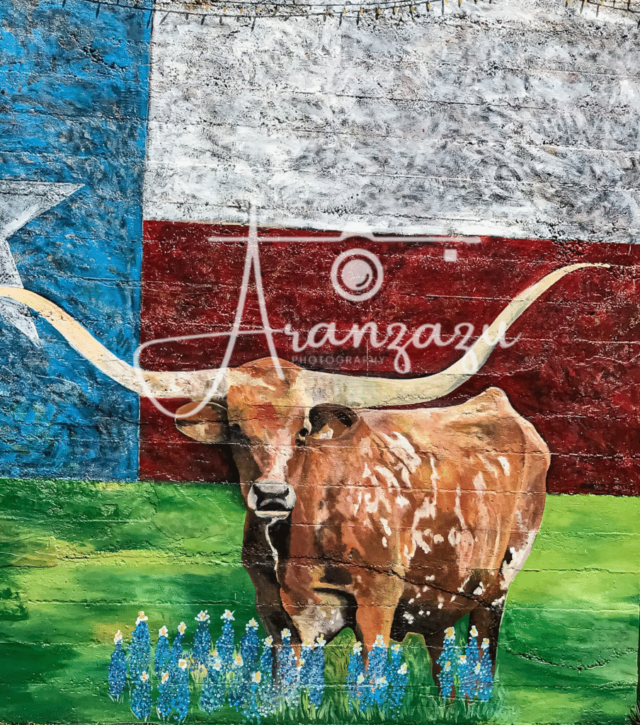 Deep in the heart of Texas, Goliad, Texas - Aranzazu-Photography